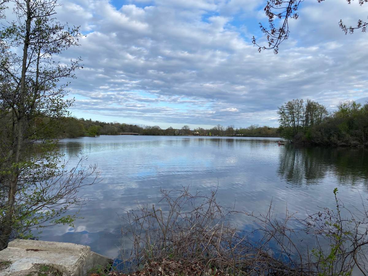 Weekly Wanderings: May 6, 2023 – Maura Elizabeth Cunningham