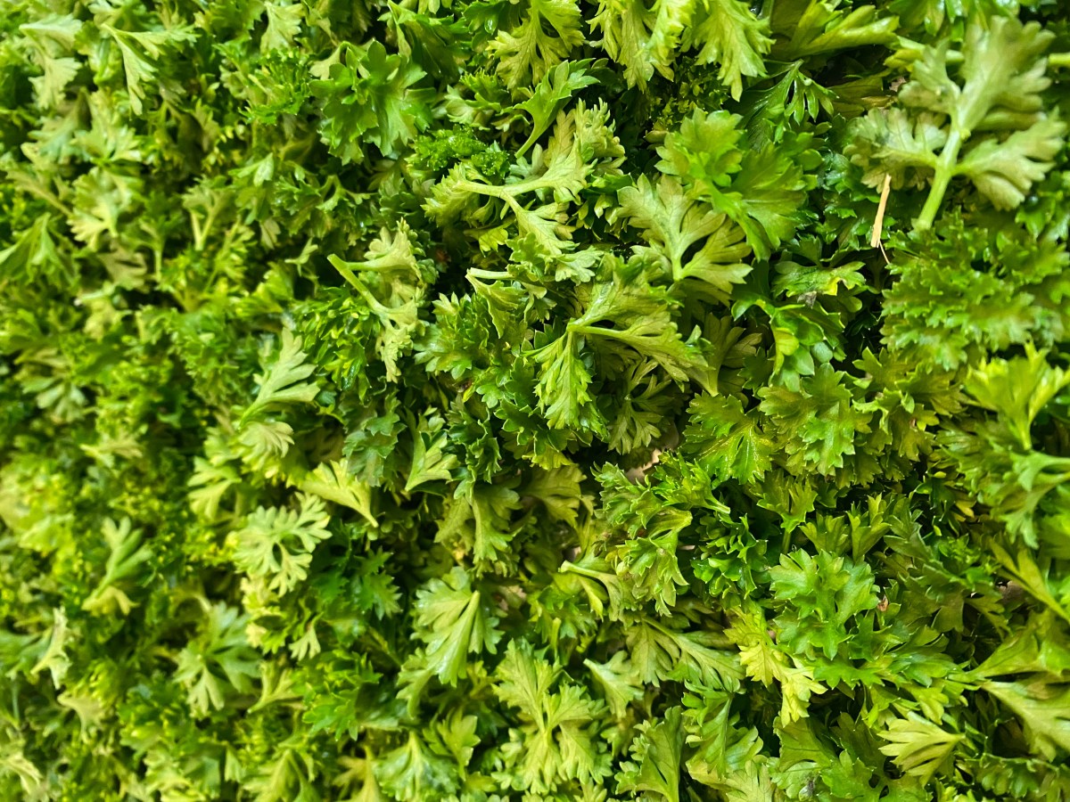 Weekly Wanderings: July 16, 2023 – Maura Elizabeth Cunningham