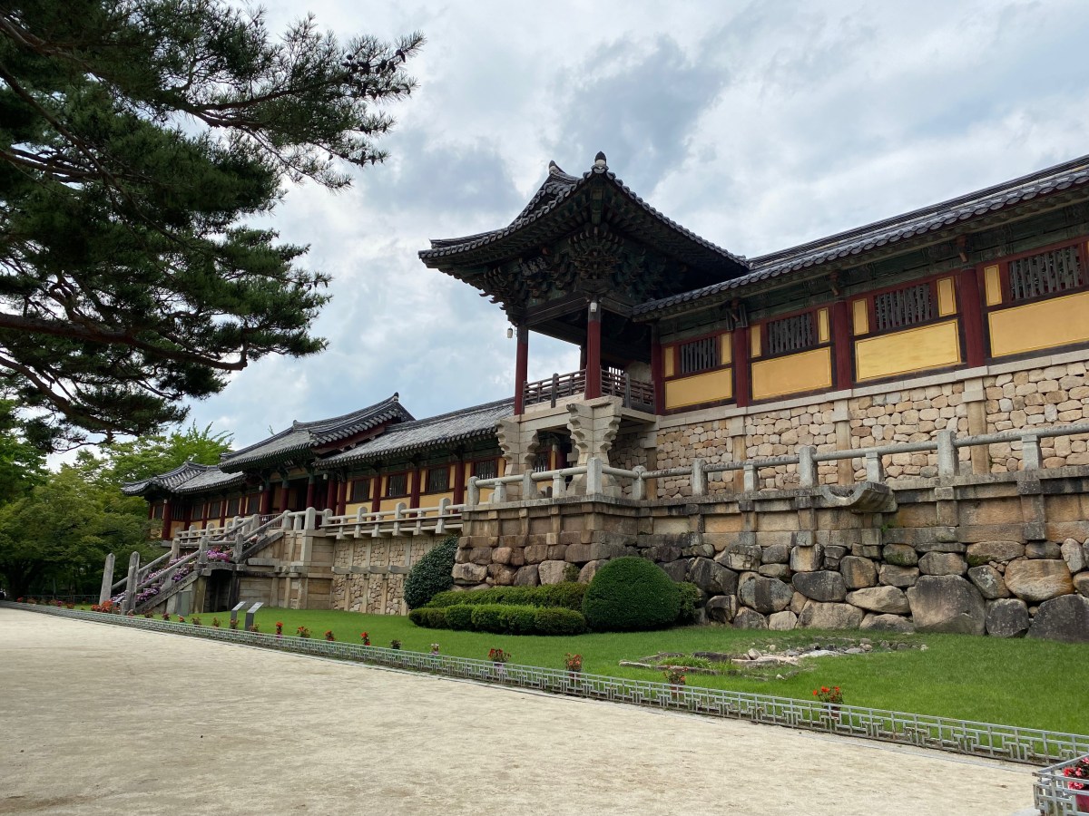 Weekly Wanderings: August 18, 2024 – Maura Elizabeth Cunningham