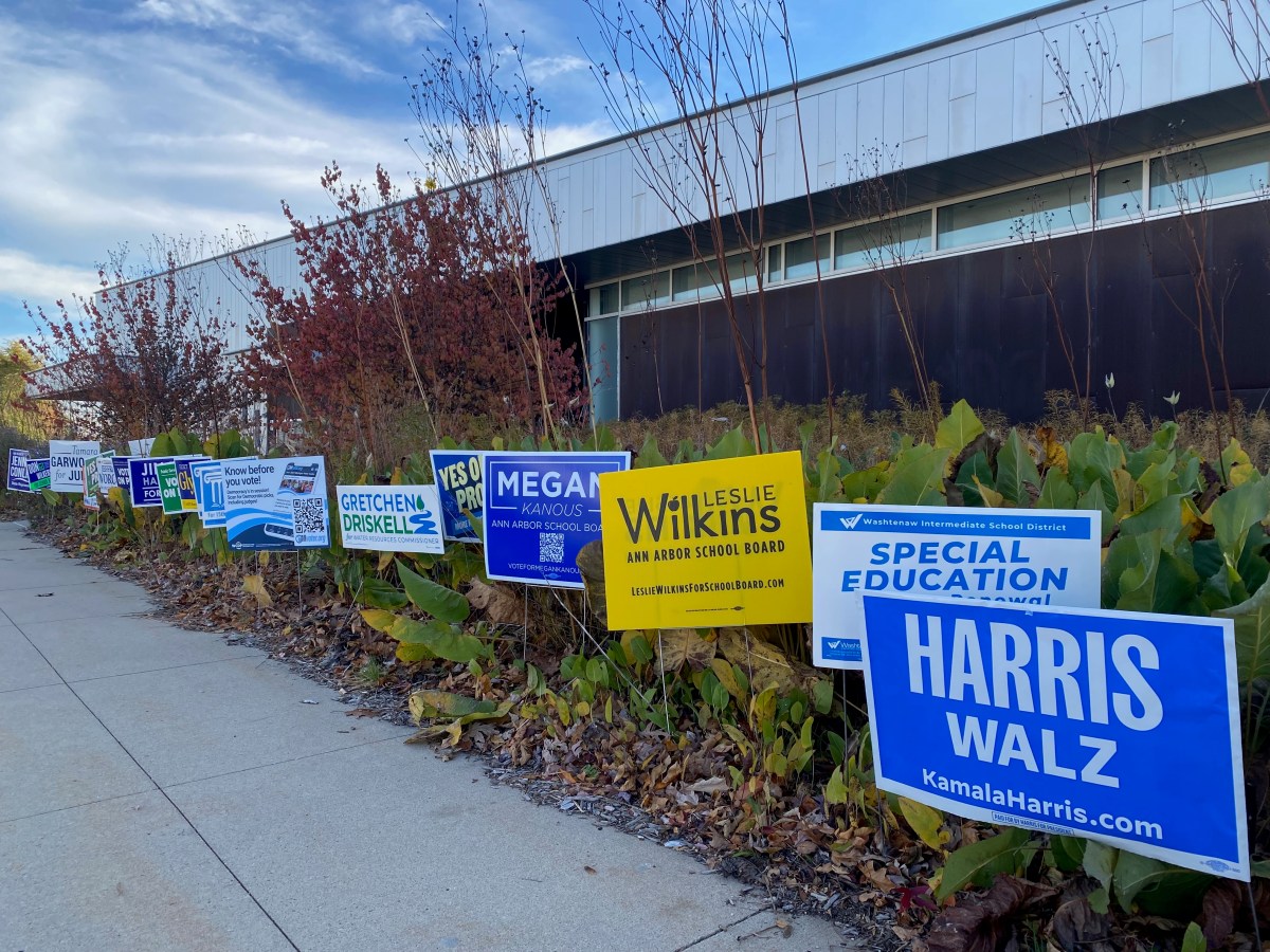 Weekly Wanderings: November 3, 2024 – Maura Elizabeth Cunningham