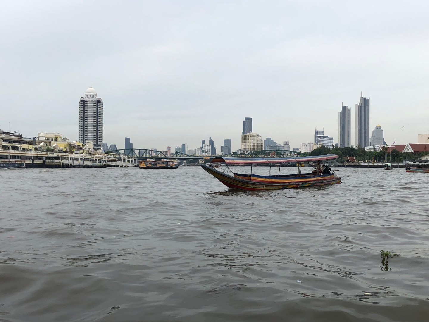 Weekly Wanderings: October 26, 2025 – Maura Elizabeth Cunningham