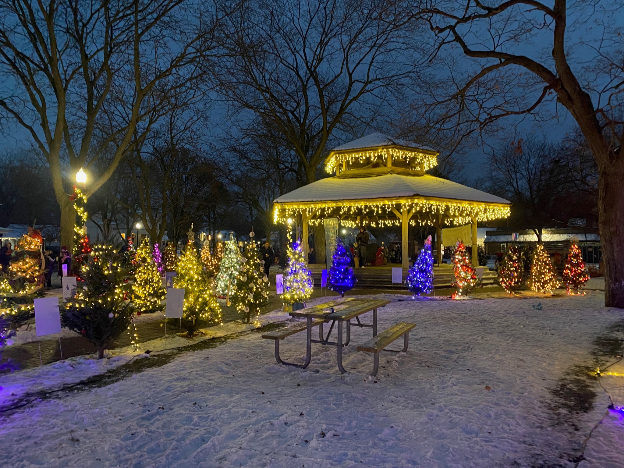 Weekly Wanderings: December 7, 2025 – Maura Elizabeth Cunningham